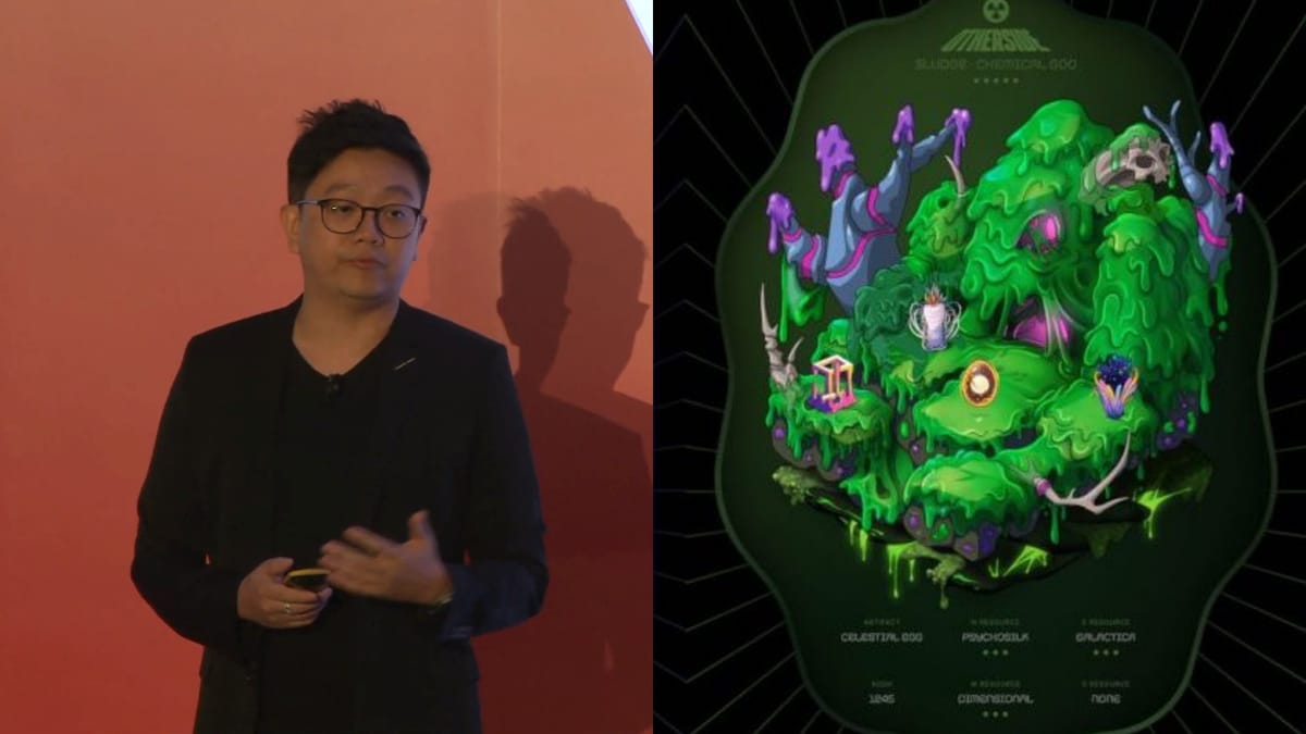 SG Dropshipper Mints 306 Otherside Plots, Accidentally Reveals Ties to ...